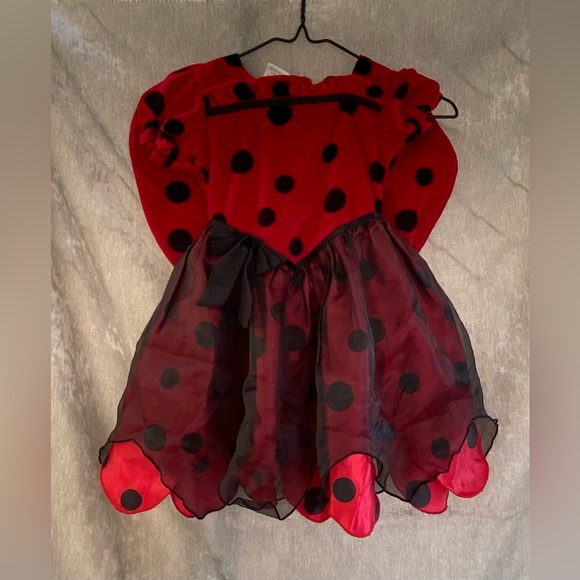 Dresses | Lady Bug Dresscostume | Poshmark